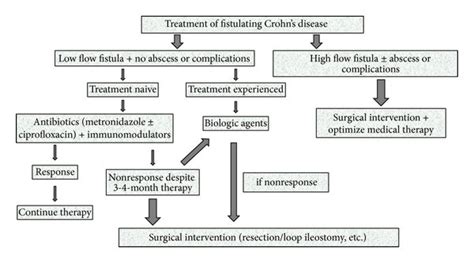 Algorithm For Management Of Fistulating Crohns Disease Download