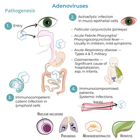 Adenovirus Symptoms