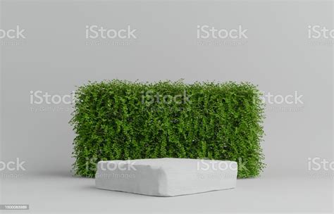 제품 연단 흰 돌 연단 식물이 있는 흰색 배경 3d 일러스트레이션 0명에 대한 스톡 사진 및 기타 이미지 0명 강단 개념 Istock