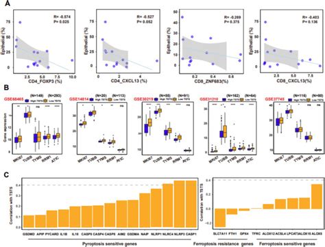 Gene Features Of Tumor Specific T Cells Relevant To Immunotherapy Targeted Therapy And