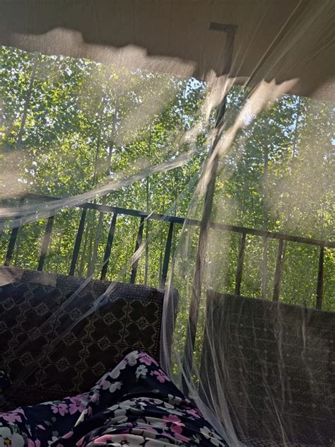 اجاره کلبه جنگلی جوارم زیرآب