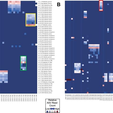 amplicon sequence variant asv fingerprints demonstrated that very few download scientific