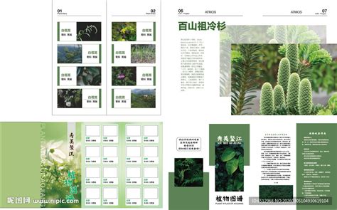 植物图鉴画册设计图室内广告设计广告设计设计图库昵图网
