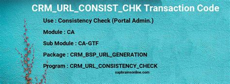 CRM CONSIST CHK SAP Tcode For Consistency Check Portal Admin