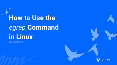 How To Use The Egrep Command In Linux Vultr Docs