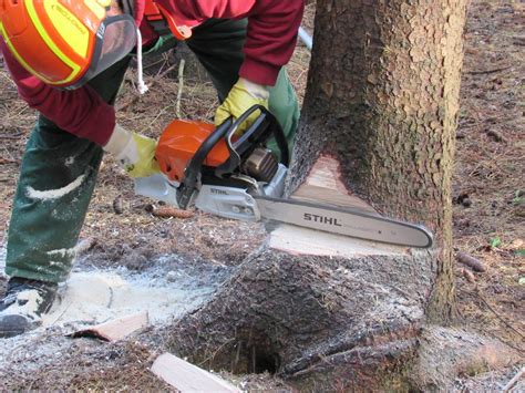 Deula Westerstede Gartenbau Und Kommunaltechnik