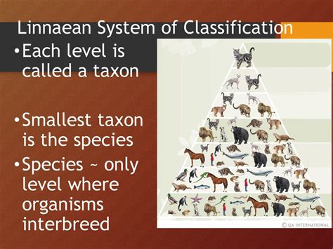 To Be Successful Today… Ppt Download