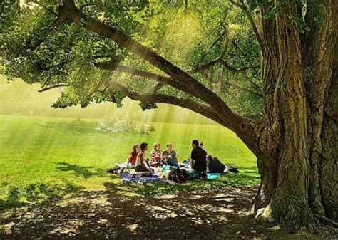 როგორ დავიცვათ თავი მწერებისგან და ტკიპებისგან