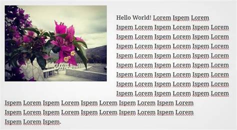 Cómo Envolver El Texto Alrededor De Las Imágenes En Wordpress Digital