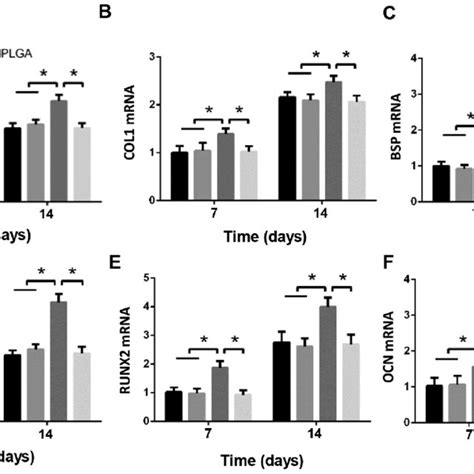 Gene Expression Analyses Of A Alp B Col 1 C Bsp D Opn E Download Scientific