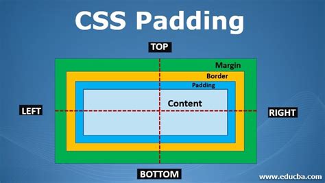 Understanding Css Padding The Unsung Hero Of Spacing