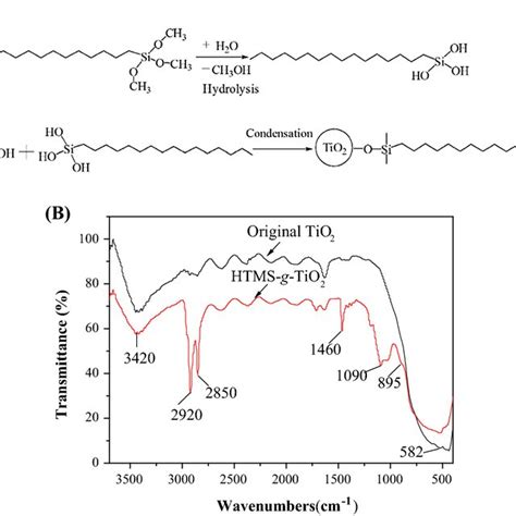A Surface Grafting Reaction Of TiO2 Nanoparticles Using HTMS B FTIR Download Scientific