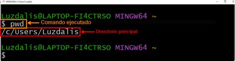 Iniciando Un Repositorio Con Git Alura Cursos Online