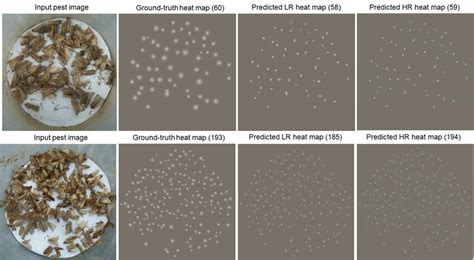 Experiments For Scale Variation Input Pest Images Ground Truth