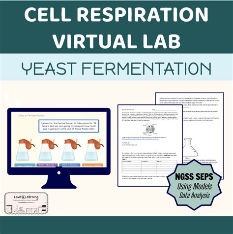 Cellular Respiration Activity Classful
