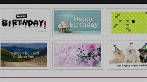 Cat Trap Game Its Origins And How To Play It