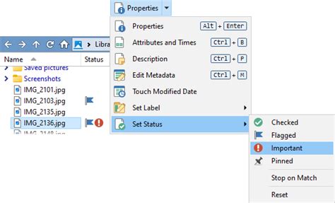Labels And Status Icons Directory Opus Manual