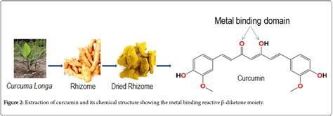 Photocytotoxicity Of Curcumin And Its Iron Complex