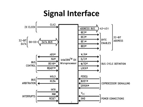 PPT Signal Interface Of 80386DX PowerPoint Presentation Free Download ID 3543042