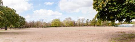 A Urban Park With Dried Up Dead Grass As Global Warming Resulted In