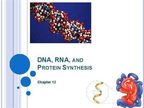 DNA RNA AND PROTEIN SYNTHESIS Chapter HISTORICAL