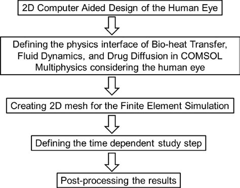 Steps Of The Simulation Method Using Comsol Multiphysics Download