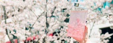 하루에 한줄 한때 내 것이었다가 나를 떠난 것도 있고 내가 버리고 외면한 것도 한 번도 내 것이 아니었던 것도 있다 다만 한때 몹시 아름다웠던 것들을 나는 기억한다