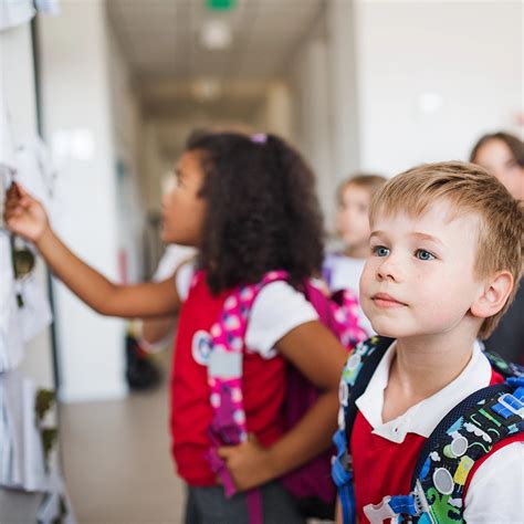 Nvs Referral Process Wheeler Health