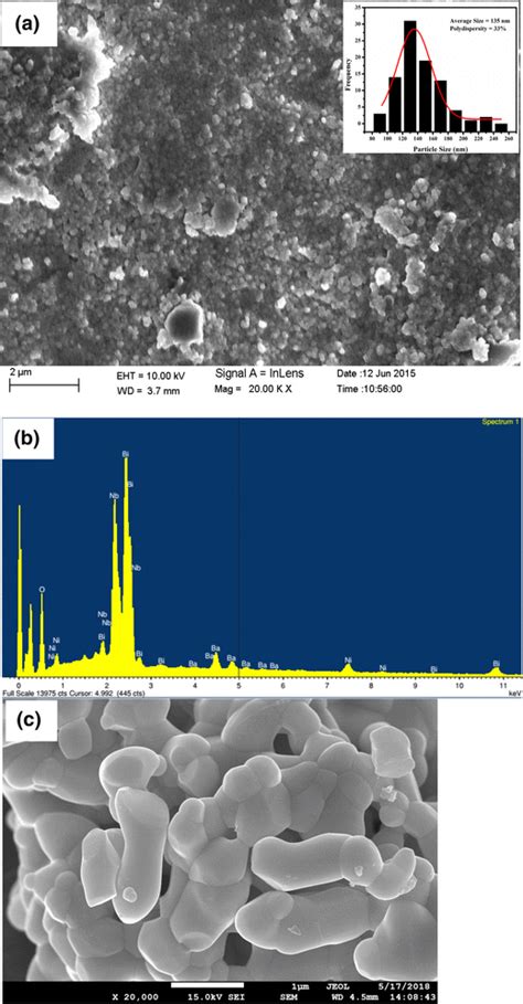 A Sem Photograph And Grain Size Distribution Inset B Edx Spectra Of