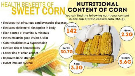 Healthy Benefits Of Corn At Jose Huggins Blog