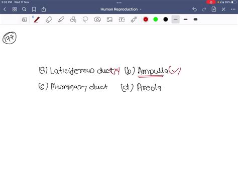 Using The Key Terms Correctly Identify Breast Structures Key A Adipose Tissue B Areola C