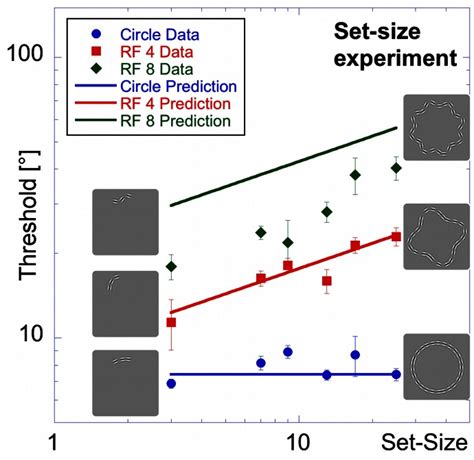 Model Predictions Vs Experimental Data—set Size Experiment Download Scientific Diagram