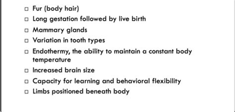 Word Bank Flashcards Quizlet