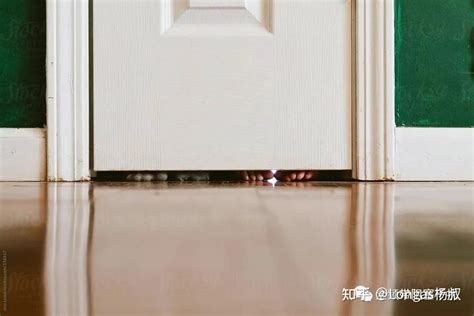 特勤局手册 隔着门缝看人的专业人士 知乎