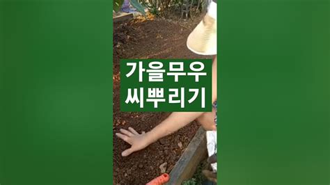 가을무우 씨뿌리기 제작소스를 터치하면 원본영상을 볼 수 있어요 Youtube