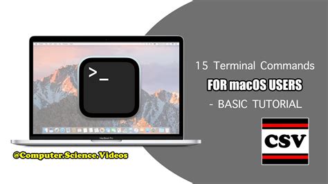 15 terminal commands for beginners programmers and macos users basic