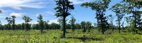 crane south bug loop 56 reviews map massachusetts alltrails