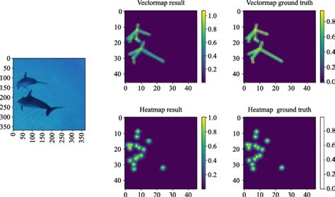 Visualization Of Pose Detection Vectormap Shows The Limbs And Heatmap