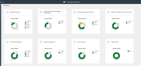 Sap Focused Run Lmdb And Landscape Management