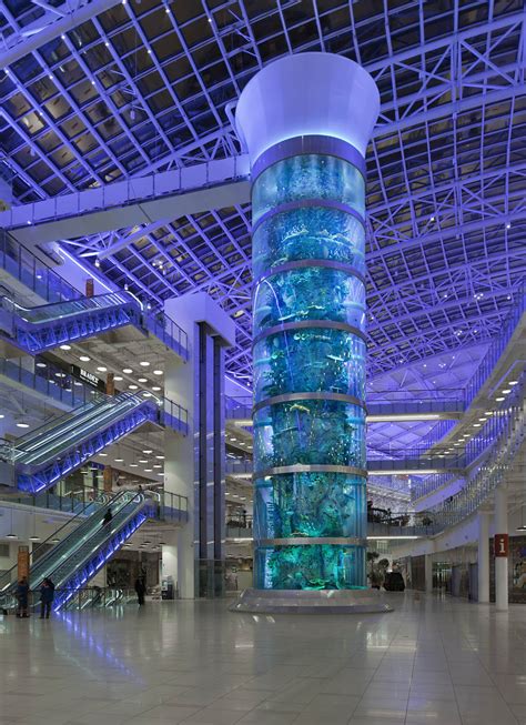Gallery of Architecture, Economics and Aquariums: Can ICM Revive the ...