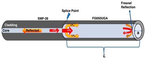 Sensitivity Modal Analysis Of Long Reflective Multimode Interferometer