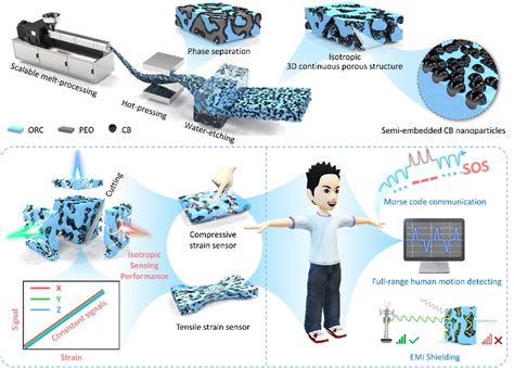 杨鸣波教授课题组