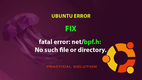 Ubuntu Fix Fatal Error Bpf H No Such File Or Directory Youtube