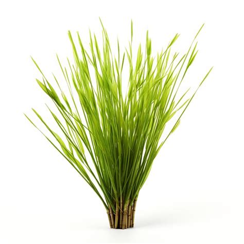 Forestburg Images Free Download On Freepik