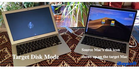 Roundup Troubleshooting Migration Assistant Problems On Mac