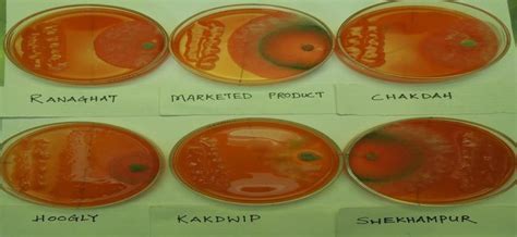 Dual Culture Technique Showing Interaction Between 6 Trichoderma Download Scientific Diagram