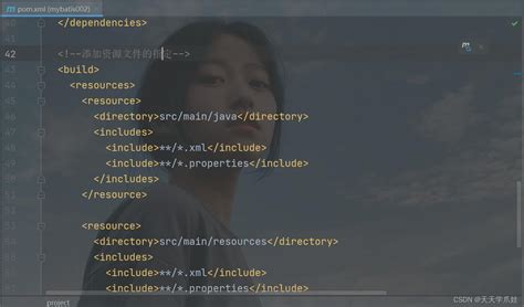 如何用idea创建mybatis项目（图文详解） Csdn博客