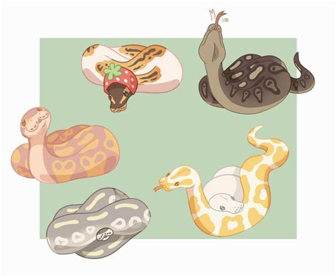 Cute Ball Python Drawing