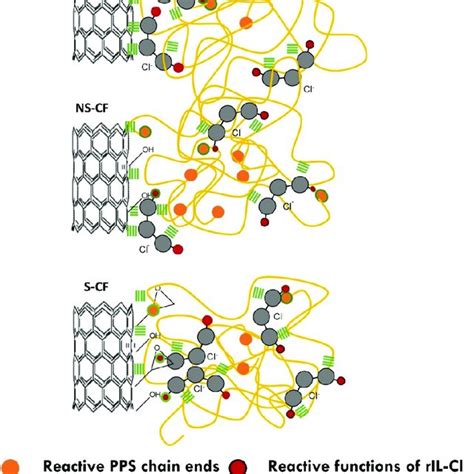 Schema Of Interactions For The Interfaces Between Imidazolium Modified