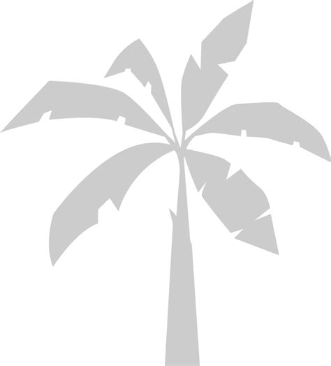 Palmera 36655977 Vector En Vecteezy